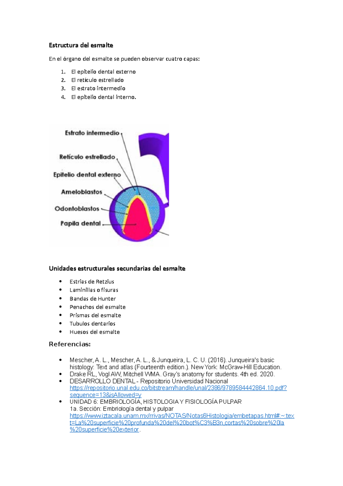 Estructura del esmalte dental 1 - Estructura del esmalte En el órgano ...