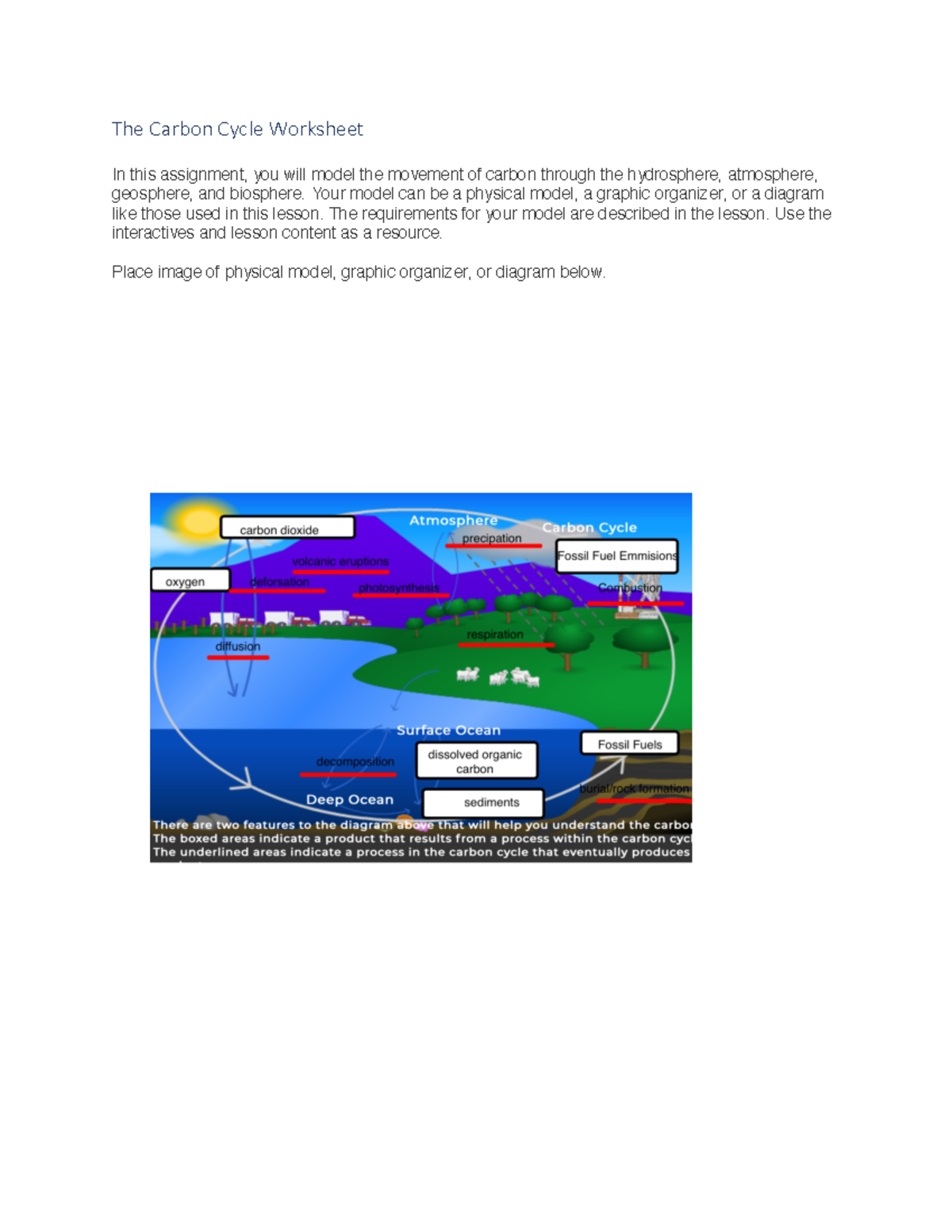 Carbon cycle worksheet - The Carbon Cycle Worksheet In this assignment ...