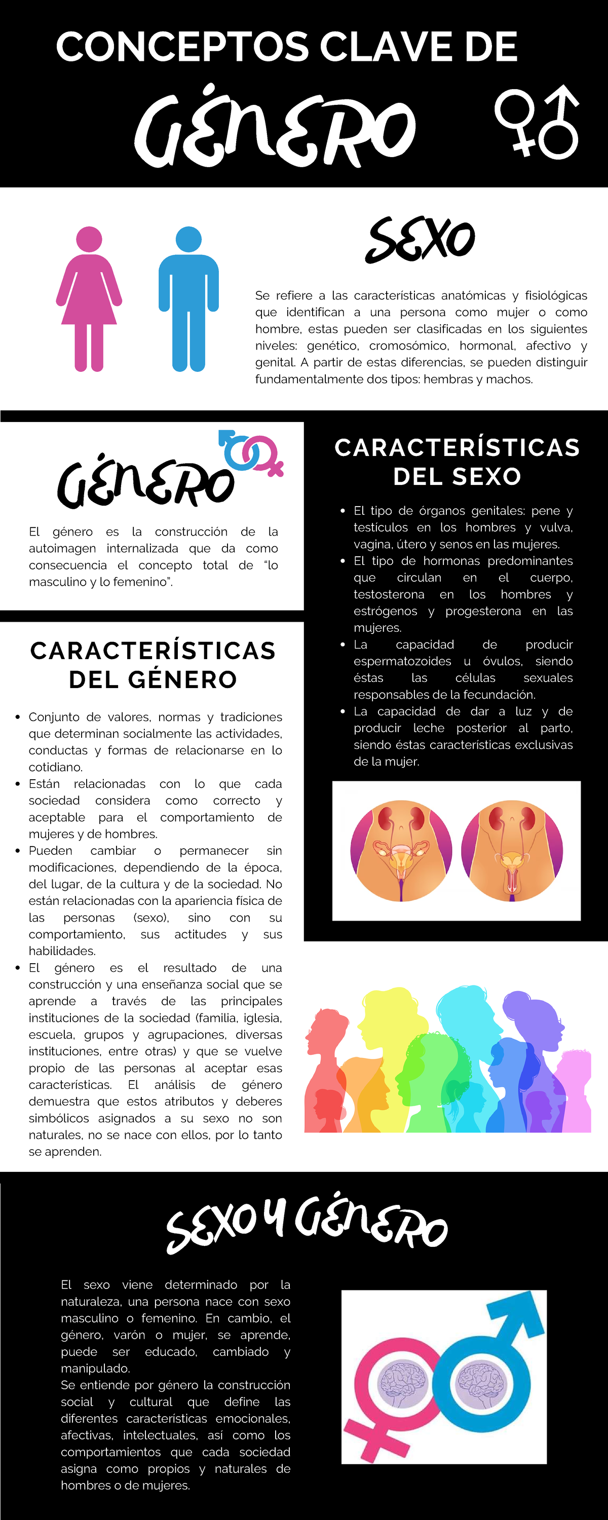 Actividad 1 Infografía Conceptos Clave de Género - SEXO Se refiere a ...