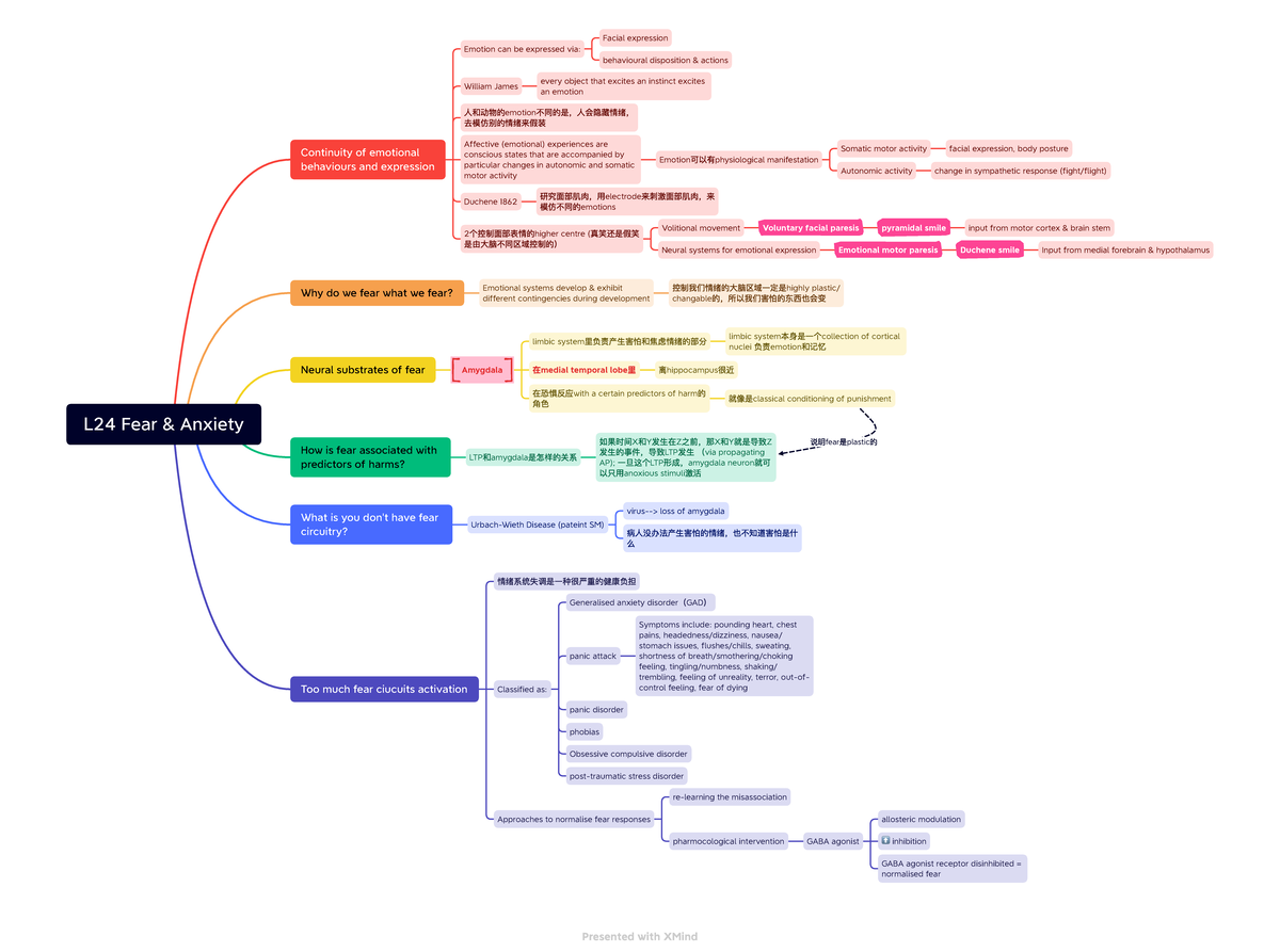L24 Fear & Anxiety mindmap best for final revision - L24 Fear & Anxiety ...
