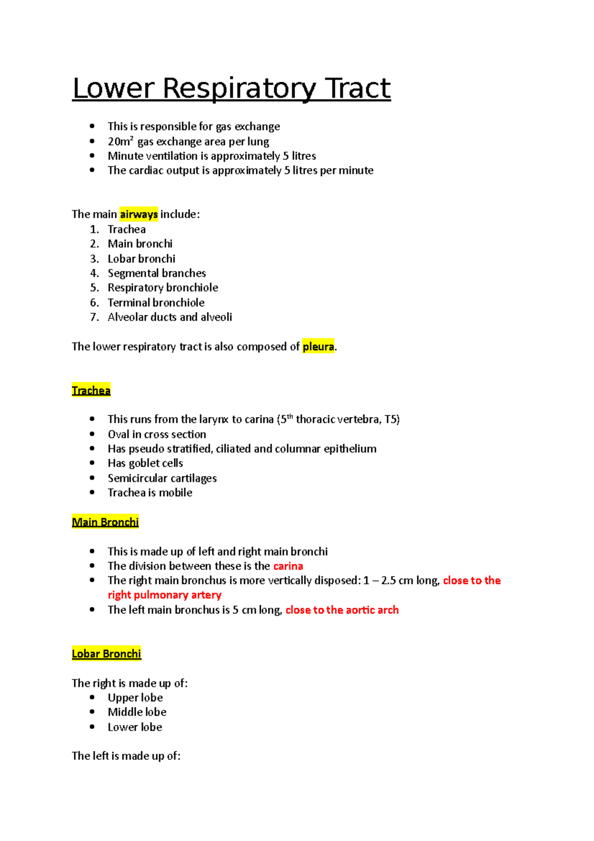 Lower Respiratory Tract - Trachea 2. Main bronchi 3. Lobar bronchi 4 ...