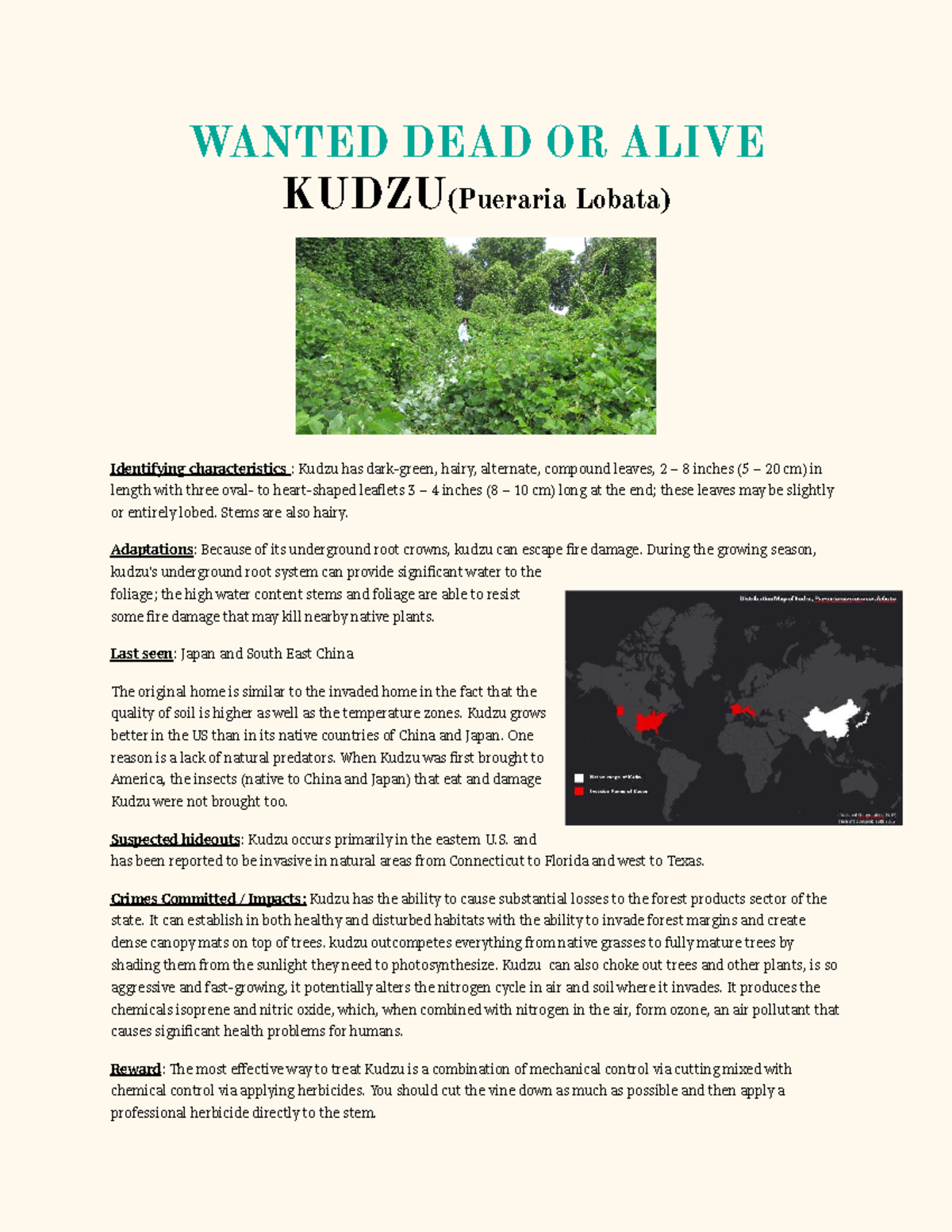 Invasive species - WANTED DEAD OR ALIVE KUDZU(Pueraria Lobata ...