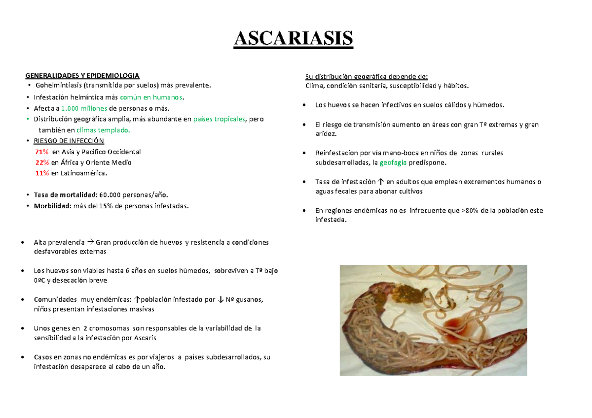 Ascaris lumbricoides, trichuris trichura, Oxiuros - GENERALIDADES Y ...
