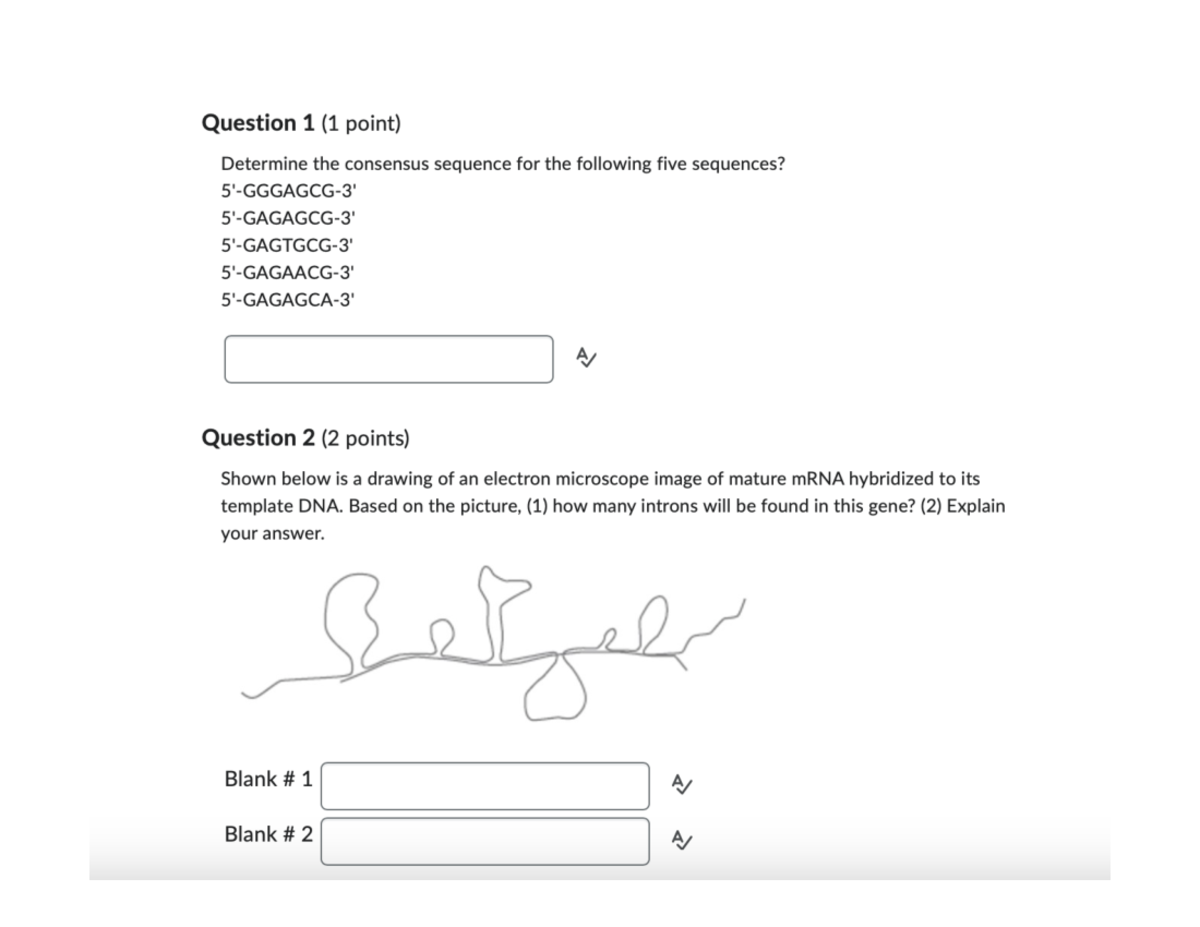 Chapter 12 Homework - rgej fwjkfe eew - BIOL 251 - Studocu