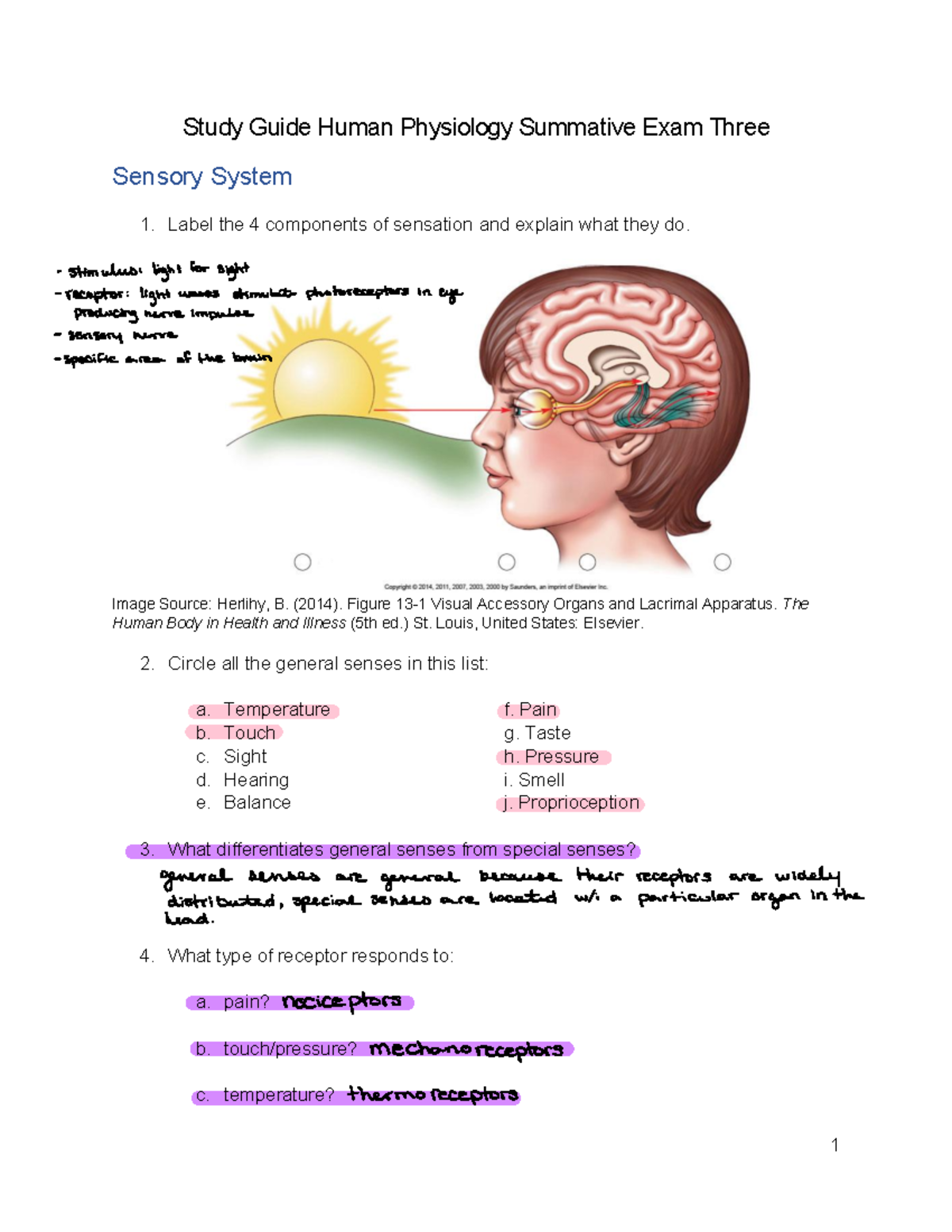 PNUR 1143 Study Guide Summative Exam Three - Sensory System Label the 4 ...