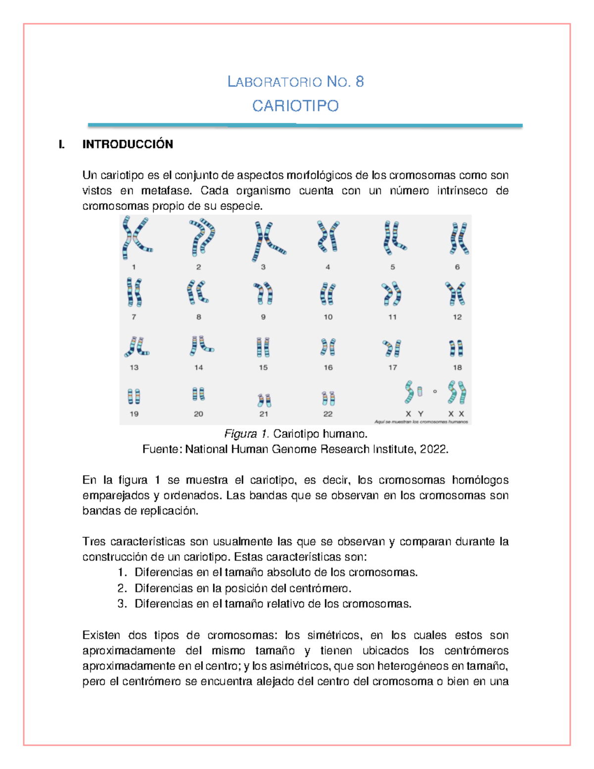 Práctica 8 - Cariotipo - LABORATORIO NO. 8 CARIOTIPO I. INTRODUCCIÓN Un cariotipo es el conjunto ...