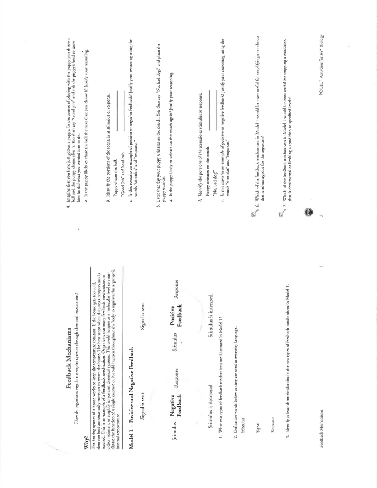 Feedback Mechanisms - Something that is so important that i needed ...
