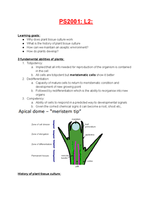 Plant Tissue Culture EXAM Questions AND EXAM Material - PLANT TISSUE ...