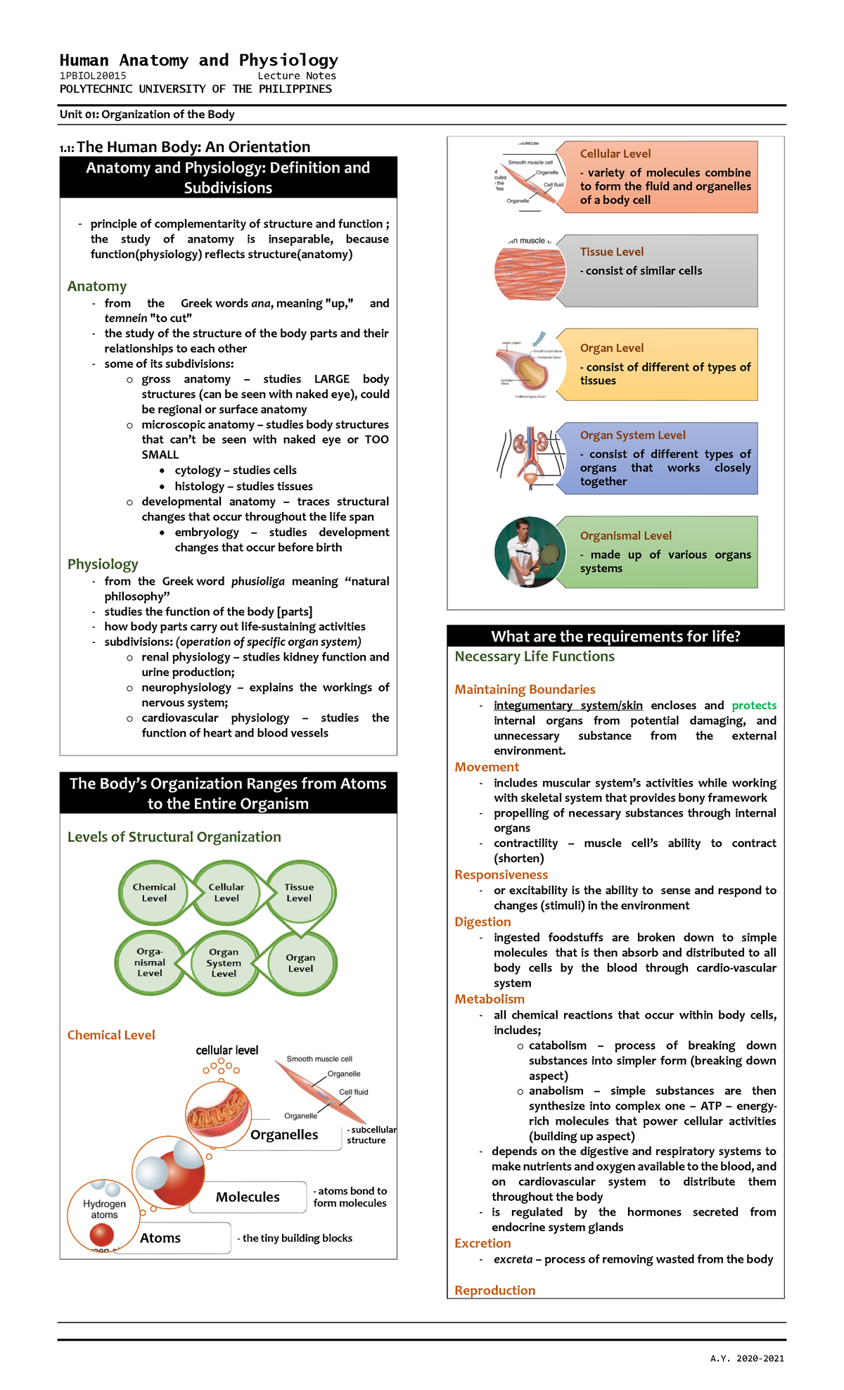 [01] The Human Body Anatomy and Physiology Orientation - 1PBIOL20015 ...