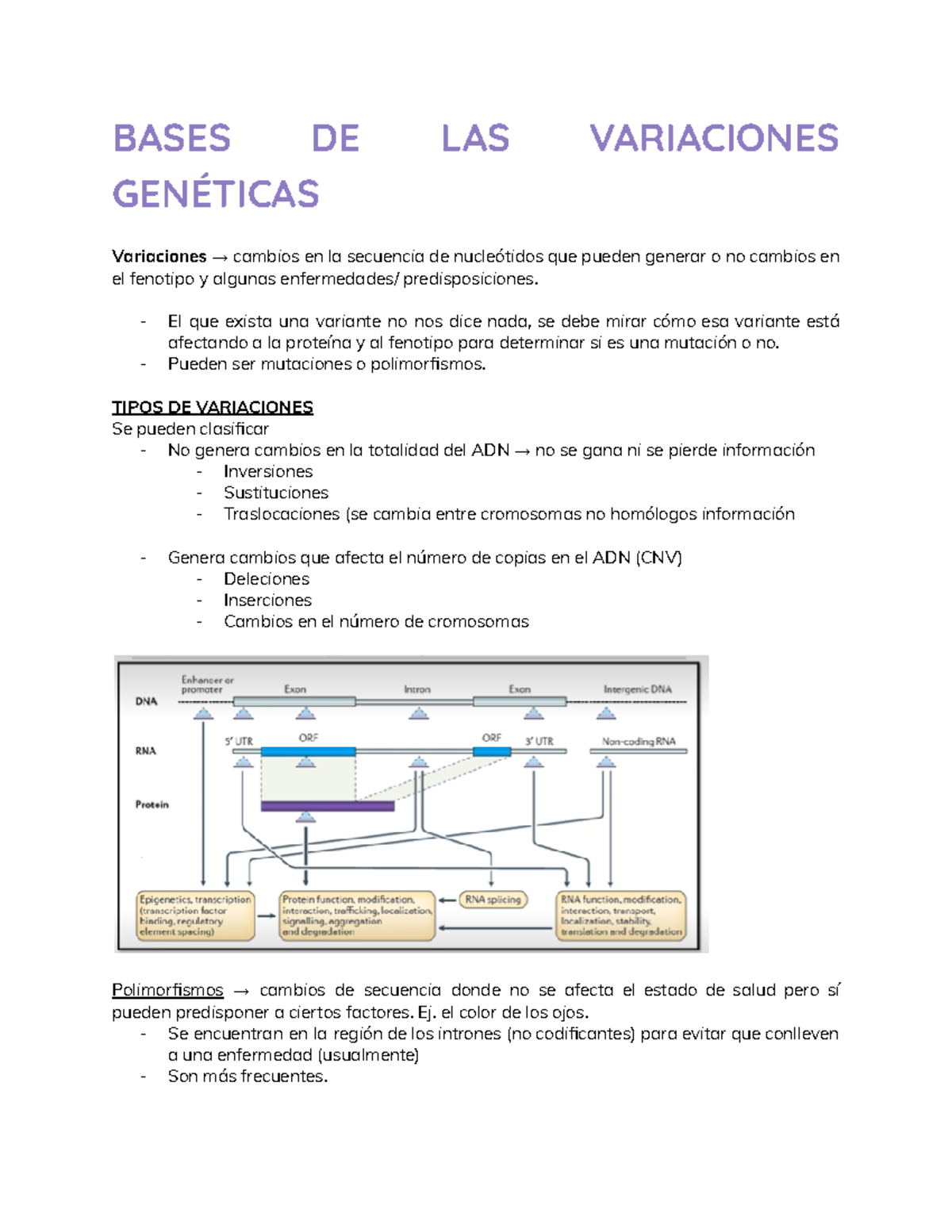 Bases De Las Variaciones Genéticas 2022 Bases De Las Variaciones