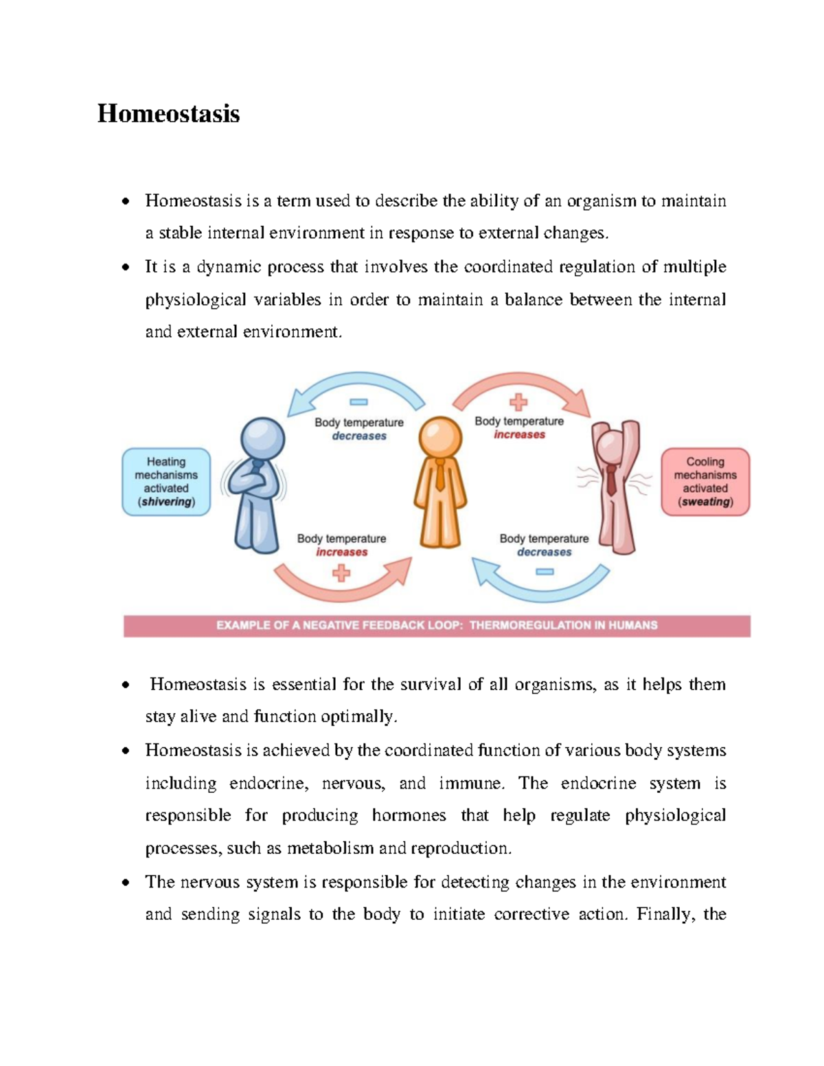 Homeostasis - Homeostasis Homeostasis is a term used to describe the ...