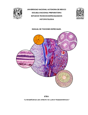 Tabla de Inclusiones histologicas - Tipo INCLUSIÓN LOCALIZACIÓN TINCIÓN ...