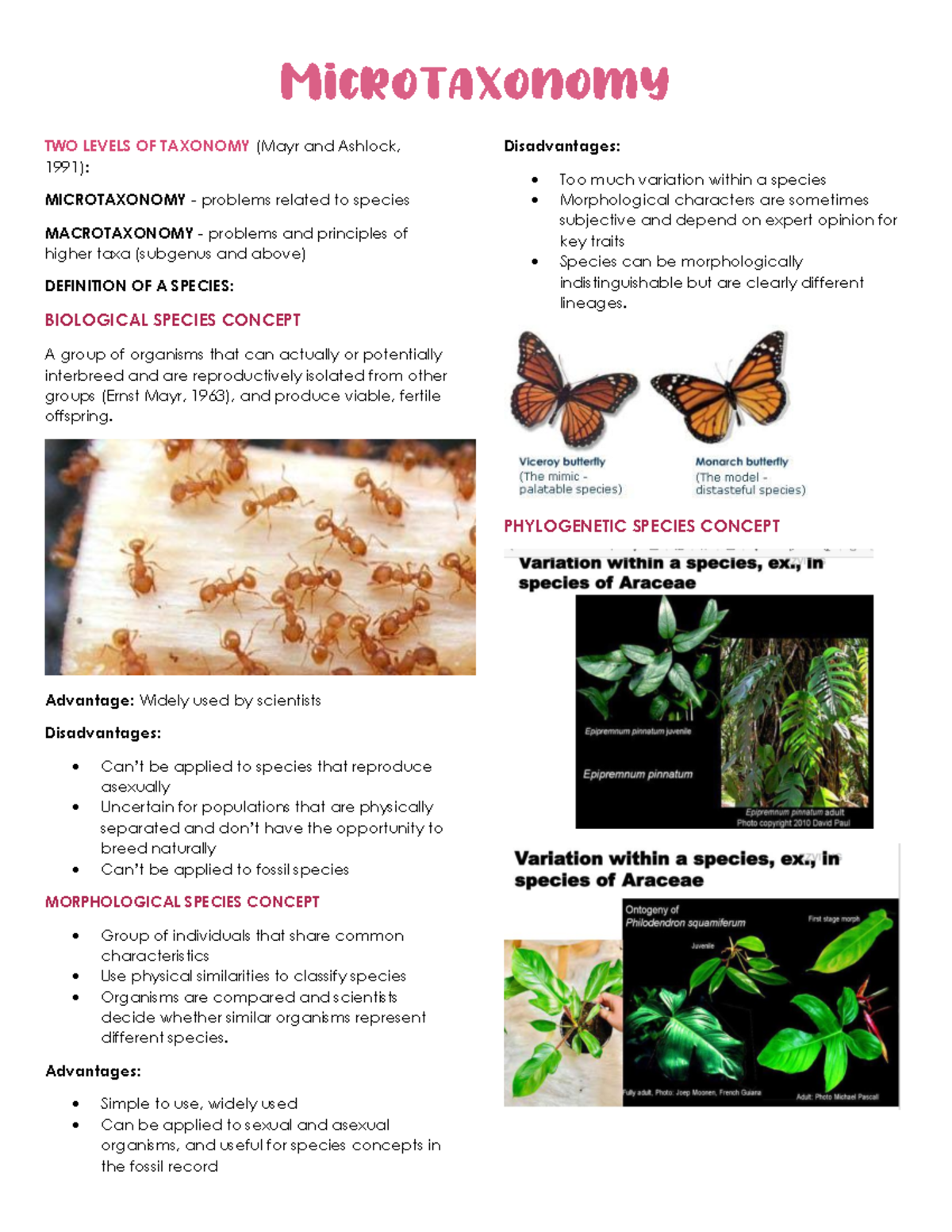 Microtaxonomy - micro and macro - Microtaxonomy TWO LEVELS OF TAXONOMY (Mayr and Ashlock, 1991 ...