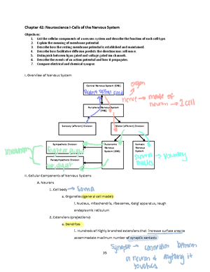 Mouse Genetics One Trait - Lab report: Mouse Genetics One Trait ...