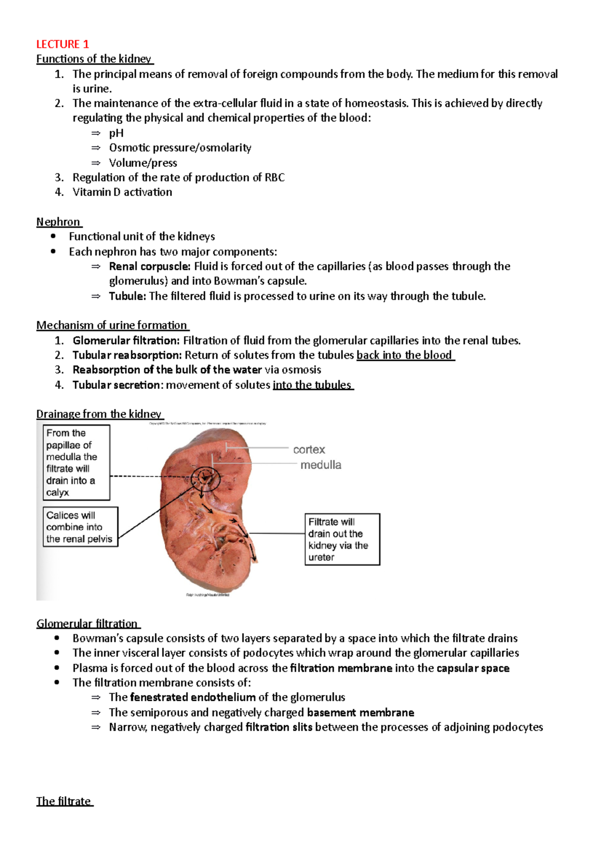 Advanced Biochemistry Notes - LECTURE 1 Functions of the kidney 1. The ...