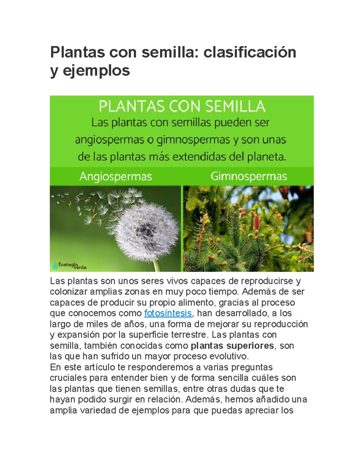 Plantas con semilla - Además de ser capaces de producir su propio ...