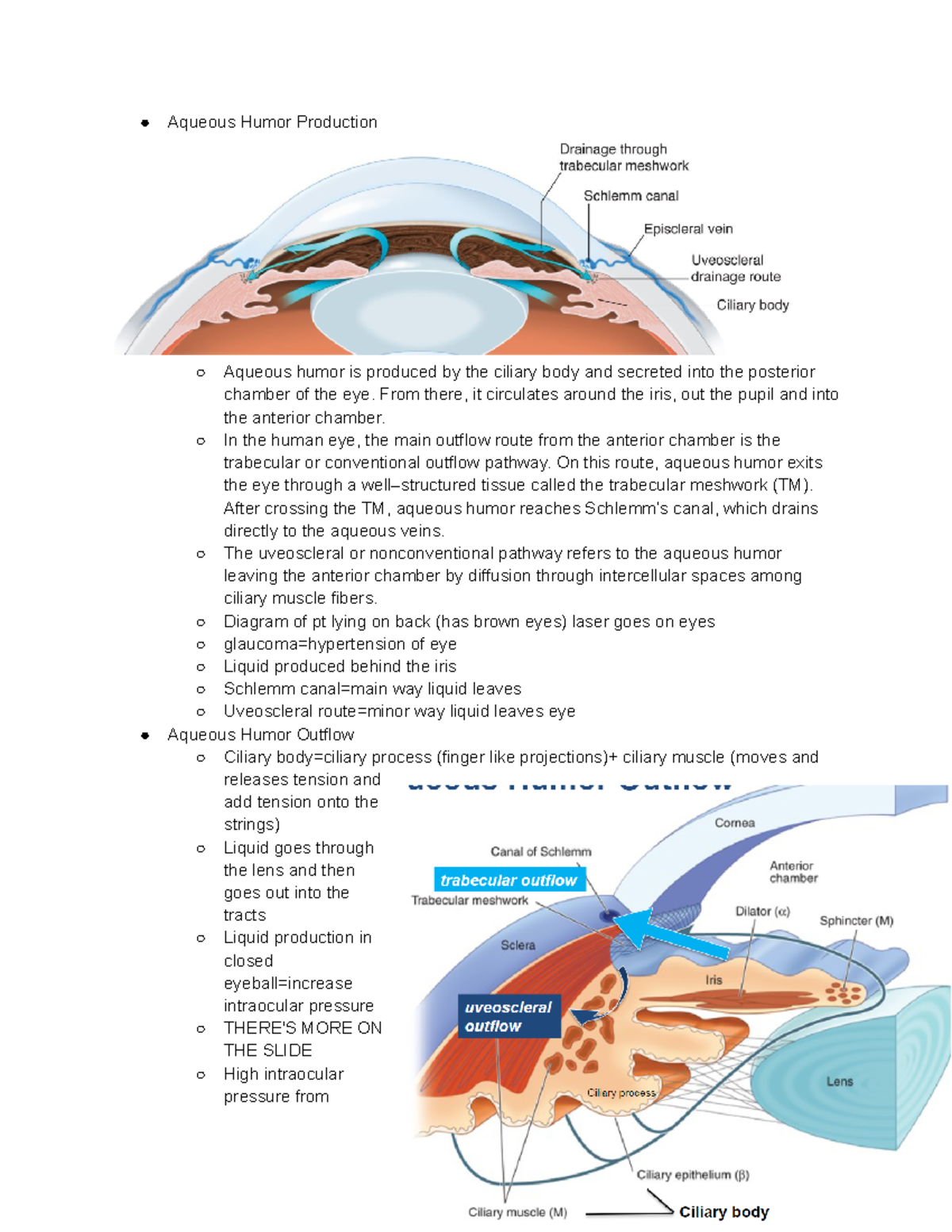 Drugs for Glaucoma - Aqueous Humor Production Aqueous humor is produced ...