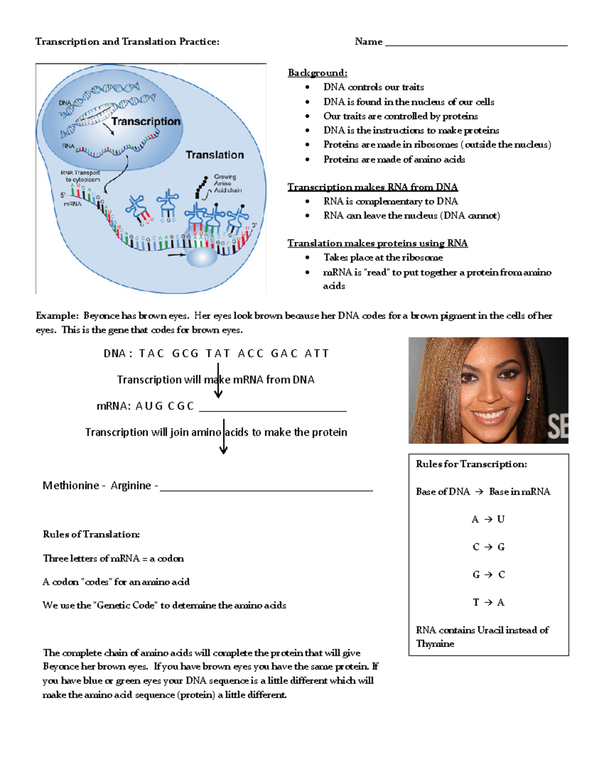 Kami Export - Transcription and Translation Practice - Transcription ...