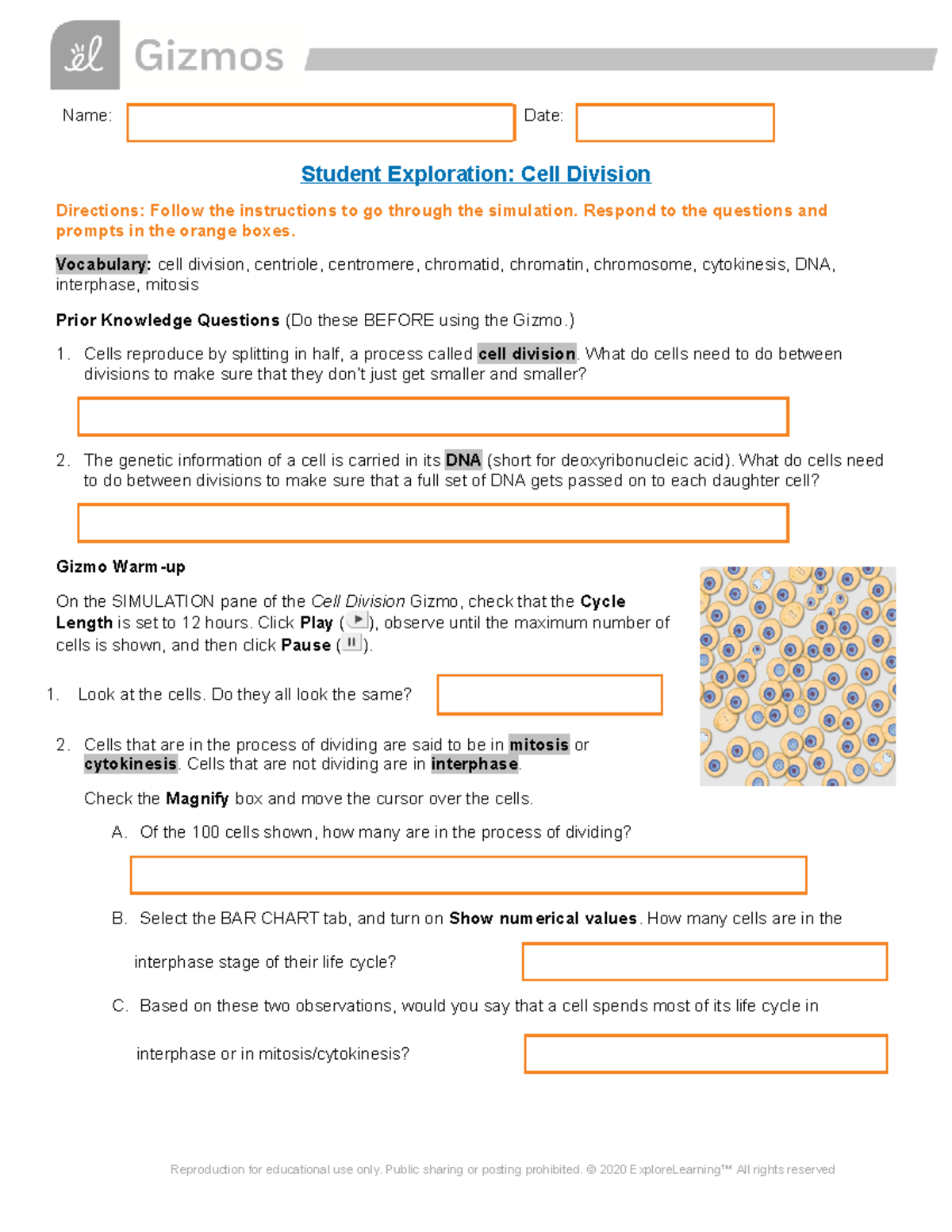 Copy of Cell Division SE - Name: Date: Student Exploration: Cell ...