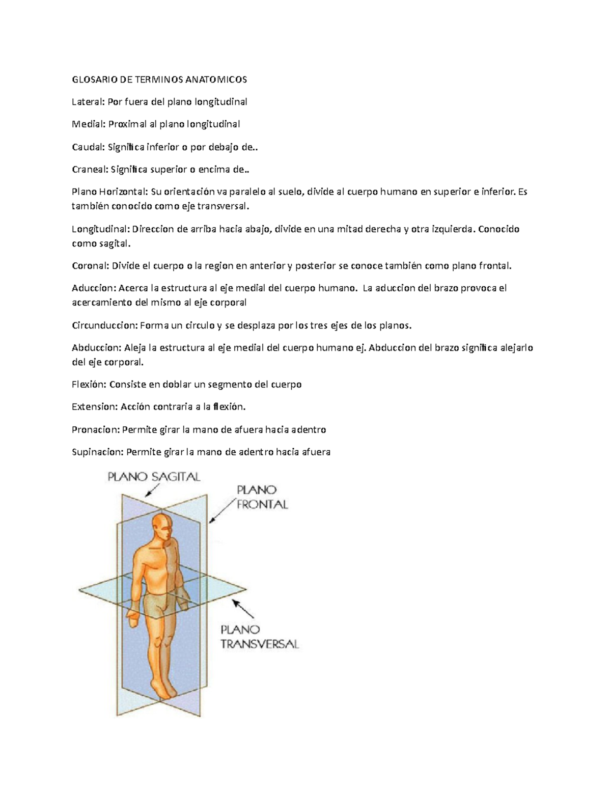 Glosario de Anatomia - palabras claves de enfermeria. - GLOSARIO DE ...