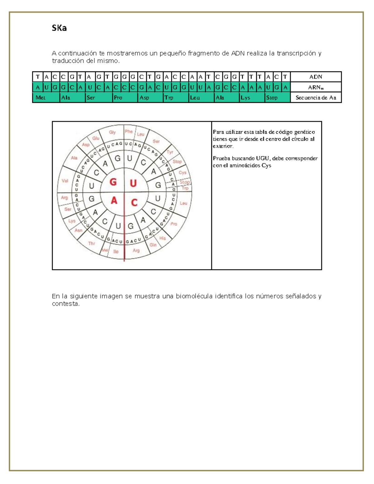 Codigo Genetico Ejercicio - A continuaciÛn te mostraremos un pequeÒo ...