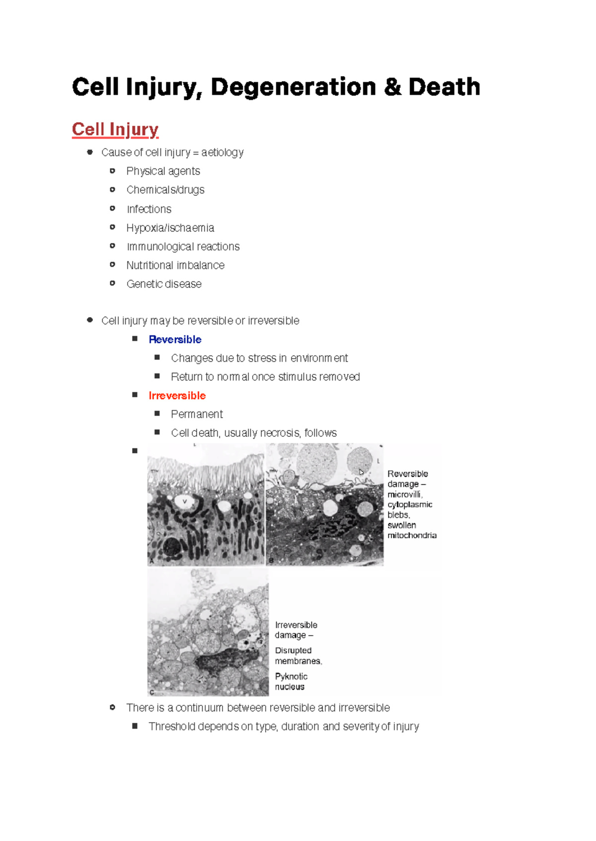 Cell Injury, Degeneration and Death - C e l l I n j u r y, D e g e n e ...