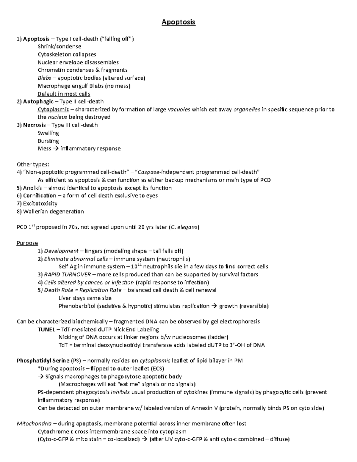 Apoptosis - Summary Cell Biology - Apoptosis 1) Apoptosis Type I ...