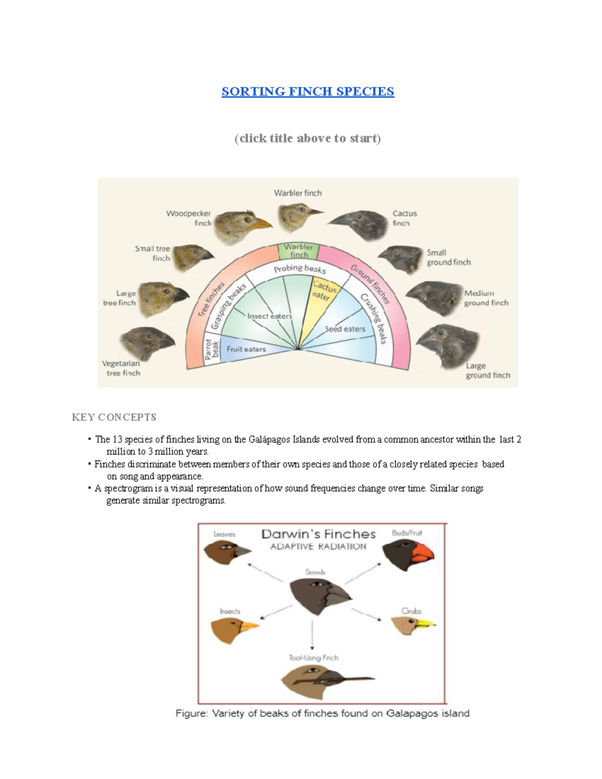 Harvey Lopez - Sorting-Finch-Species-Student-Worksheet - The Origin of ...