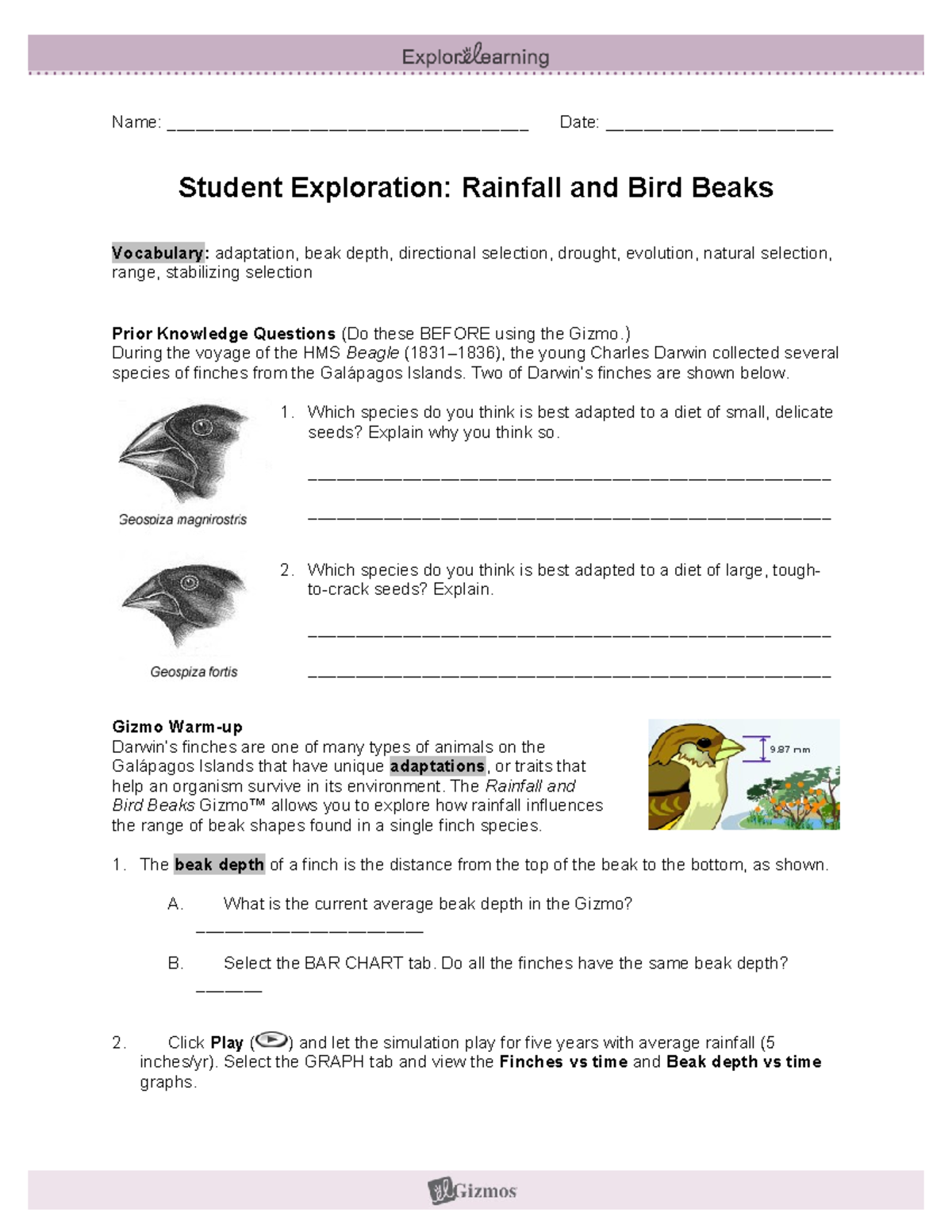 Rainfall and bird beak gizmo - Name ...