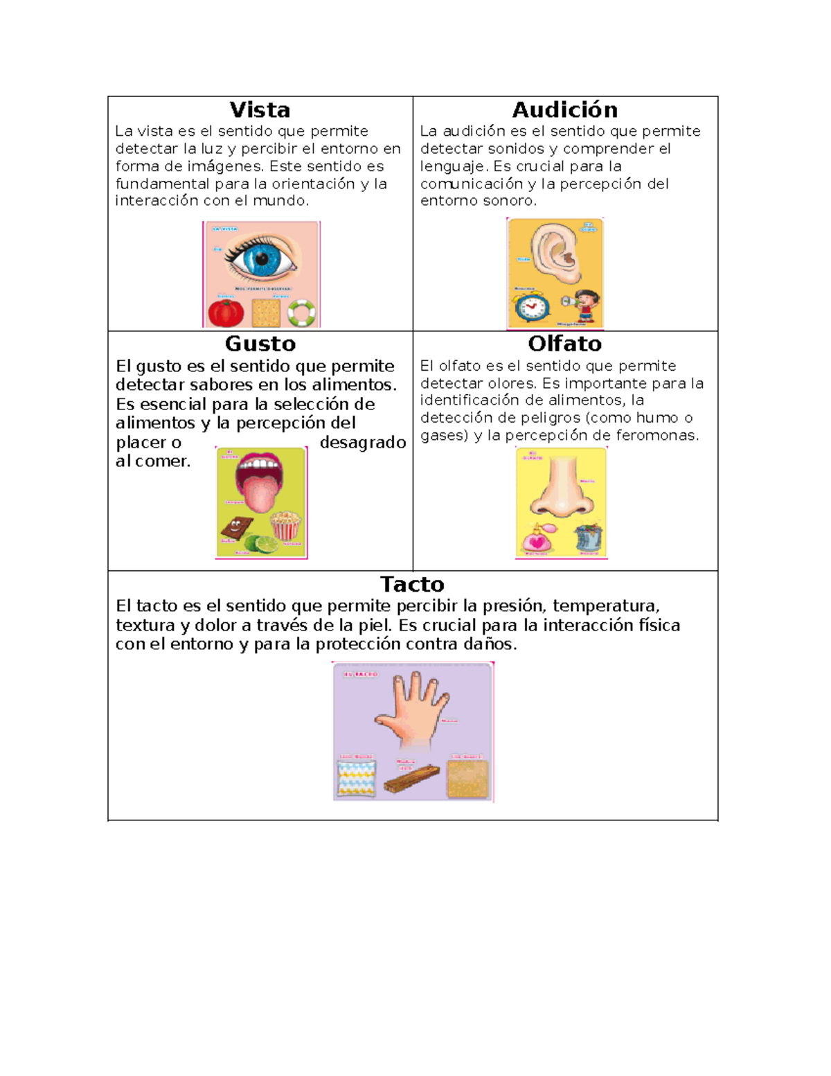 5 Sentidos de los niños - Vista La vista es el sentido que permite ...