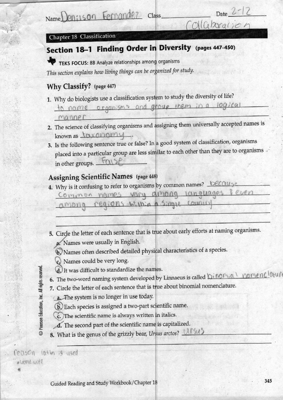 Bio answers - Biology - Studocu