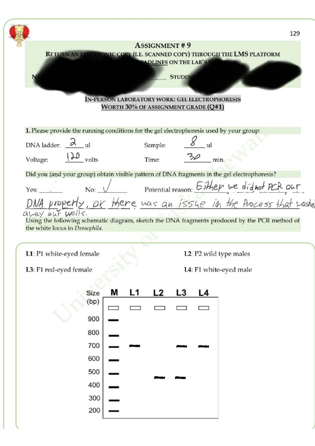 Lab9 final - Biol 226.3 - Studocu