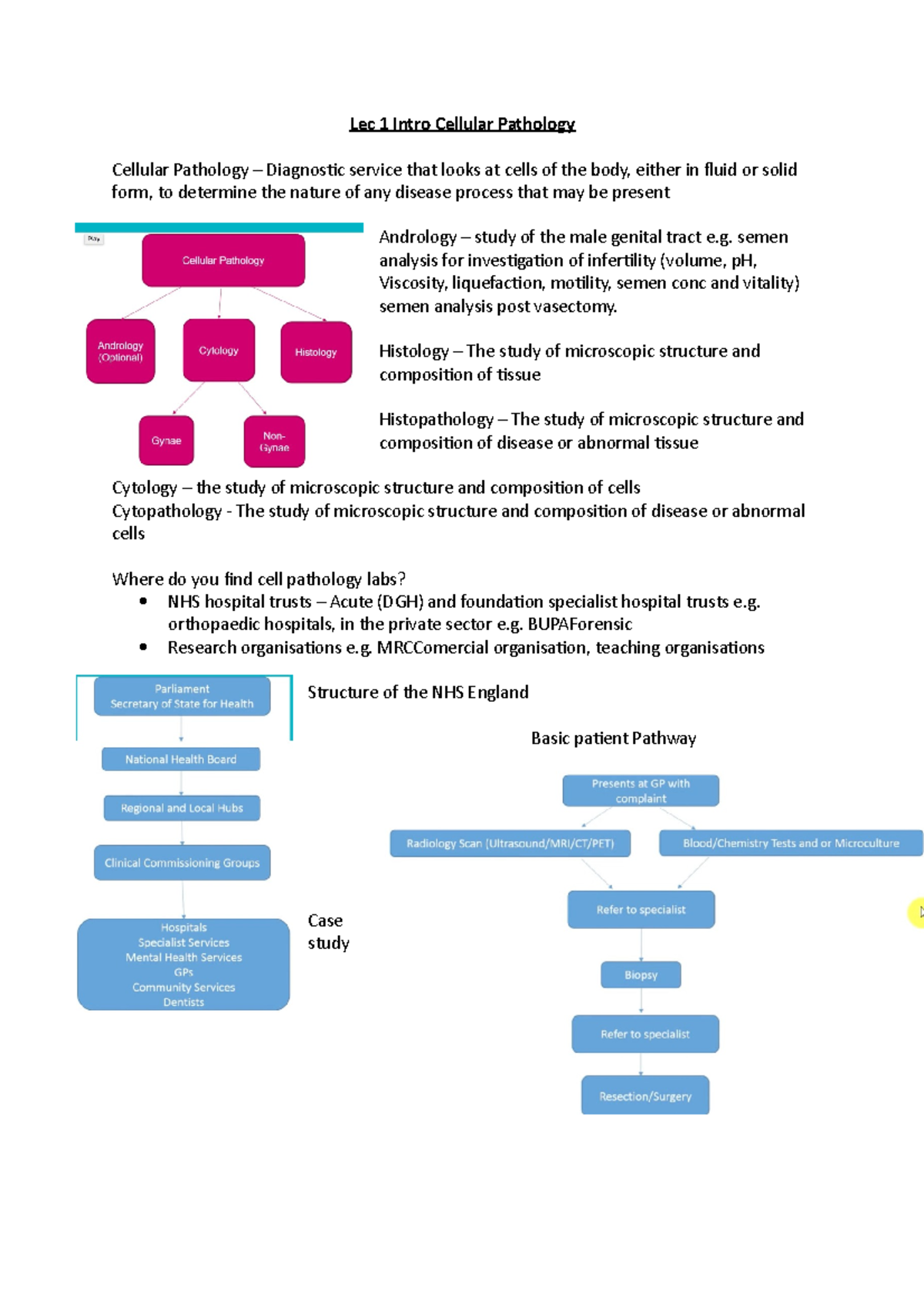 Lec 1 Cellular Pathology - Lec 1 Intro Cellular Pathology Cellular ...