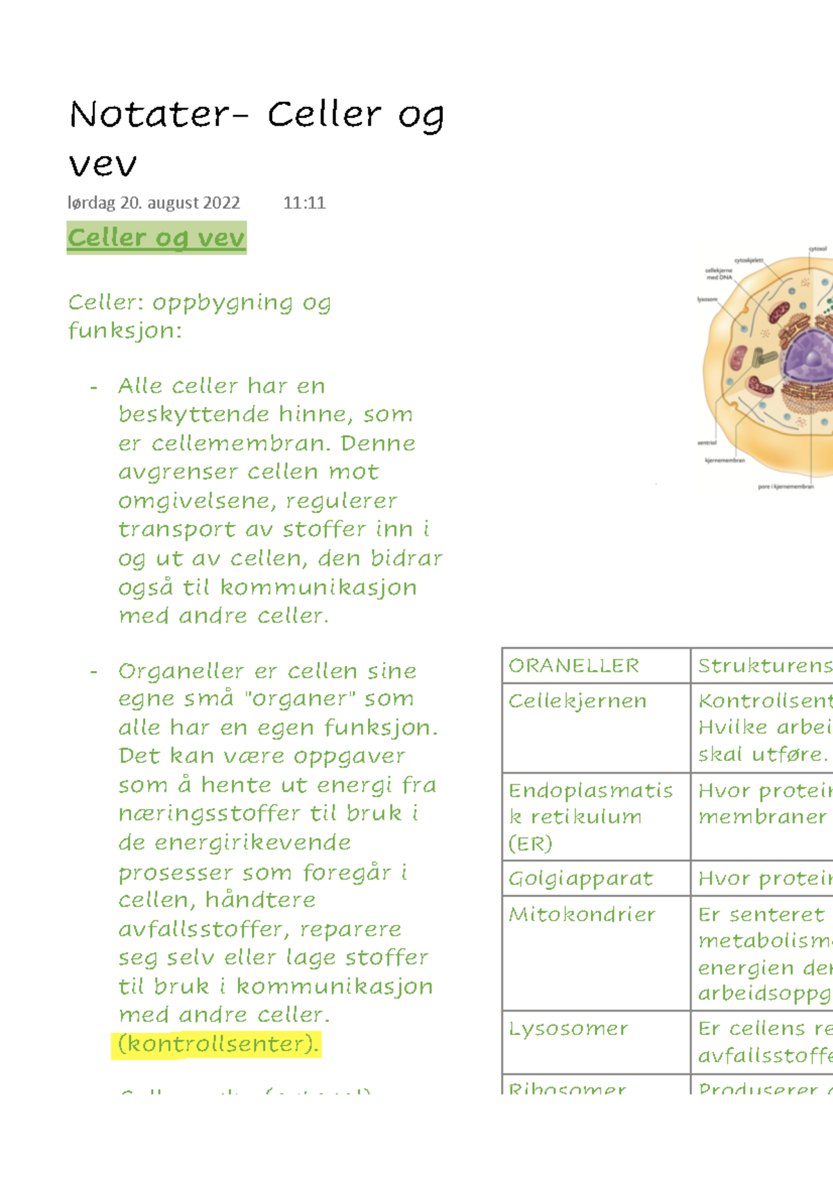 Notater- Celler og vev - Celler og vev Celler: oppbygning og funksjon: Alle celler har en - Studocu