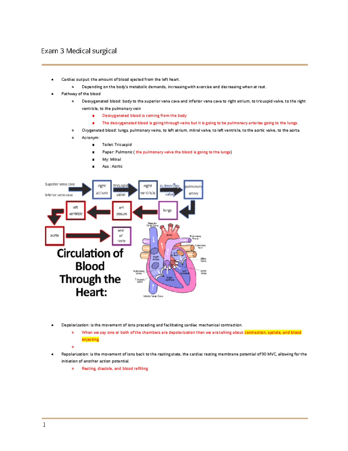 Exam 3 medical surgical - Exam 3 Medical surgical Cardiac output: the ...