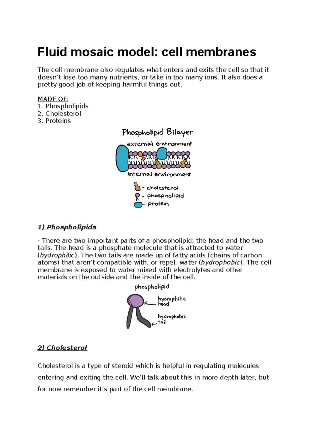 Fluid mosaic model notes - JHA - Fluid mosaic model: cell membranes The ...