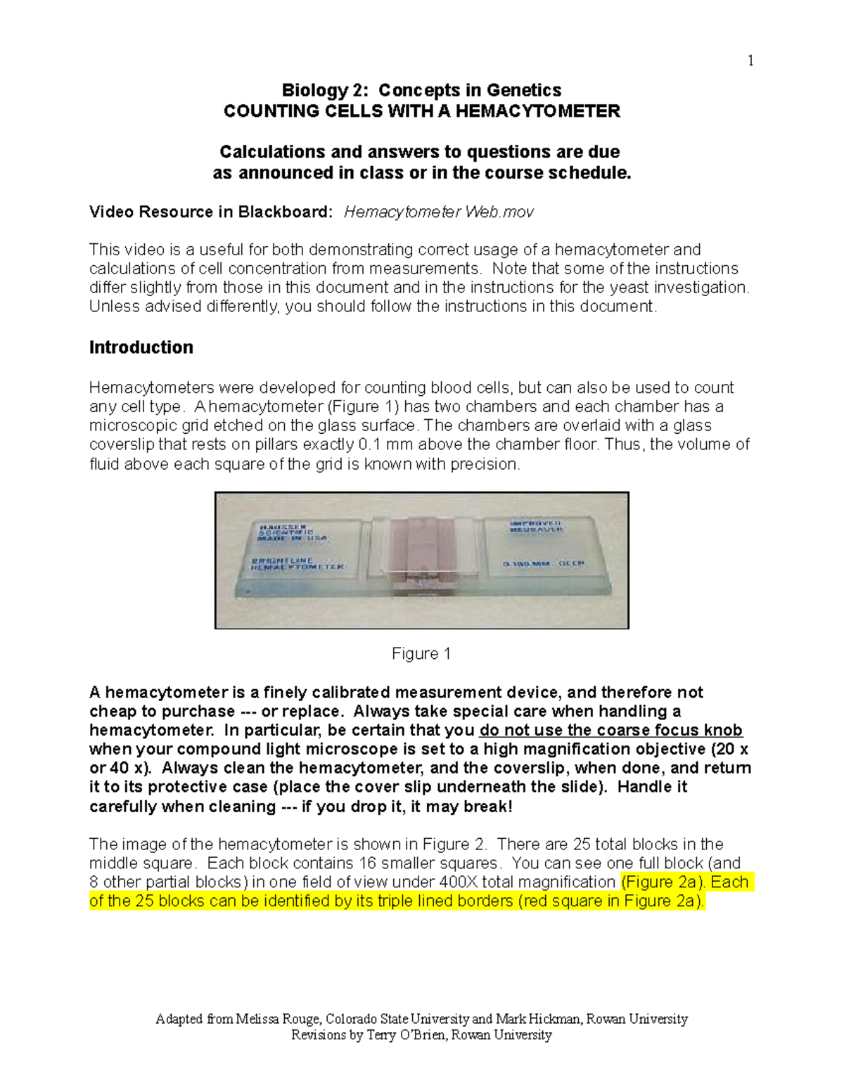 Cell Concentration from a Hemacytometer revised - Biology 2: Concepts ...