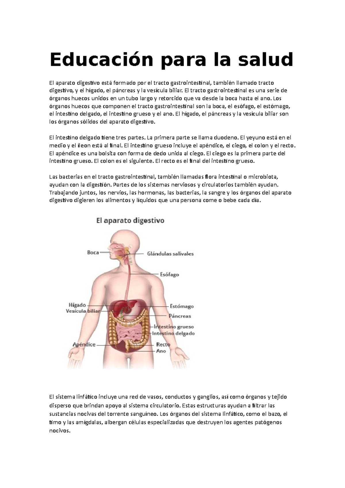 Educación para la salud - Educación para la salud El aparato digestivo ...