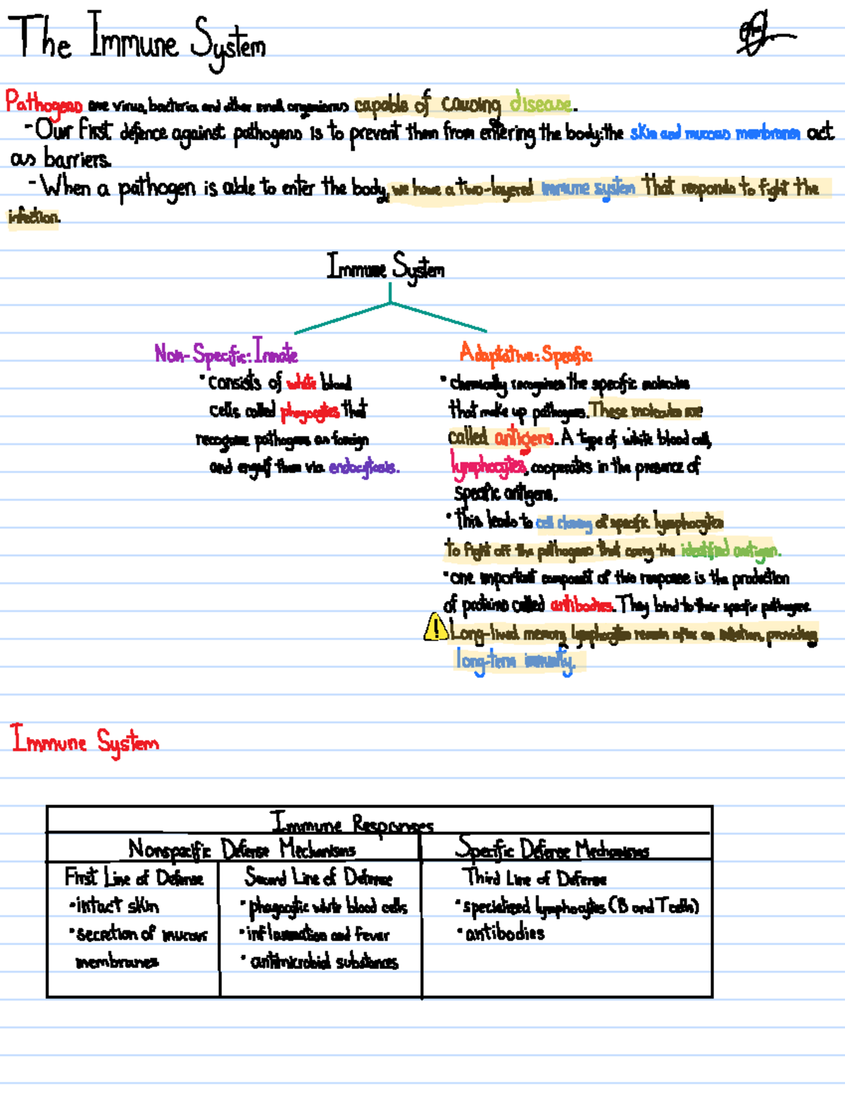 Immune System - Bio - The Immune System of Pathogens are virus ...