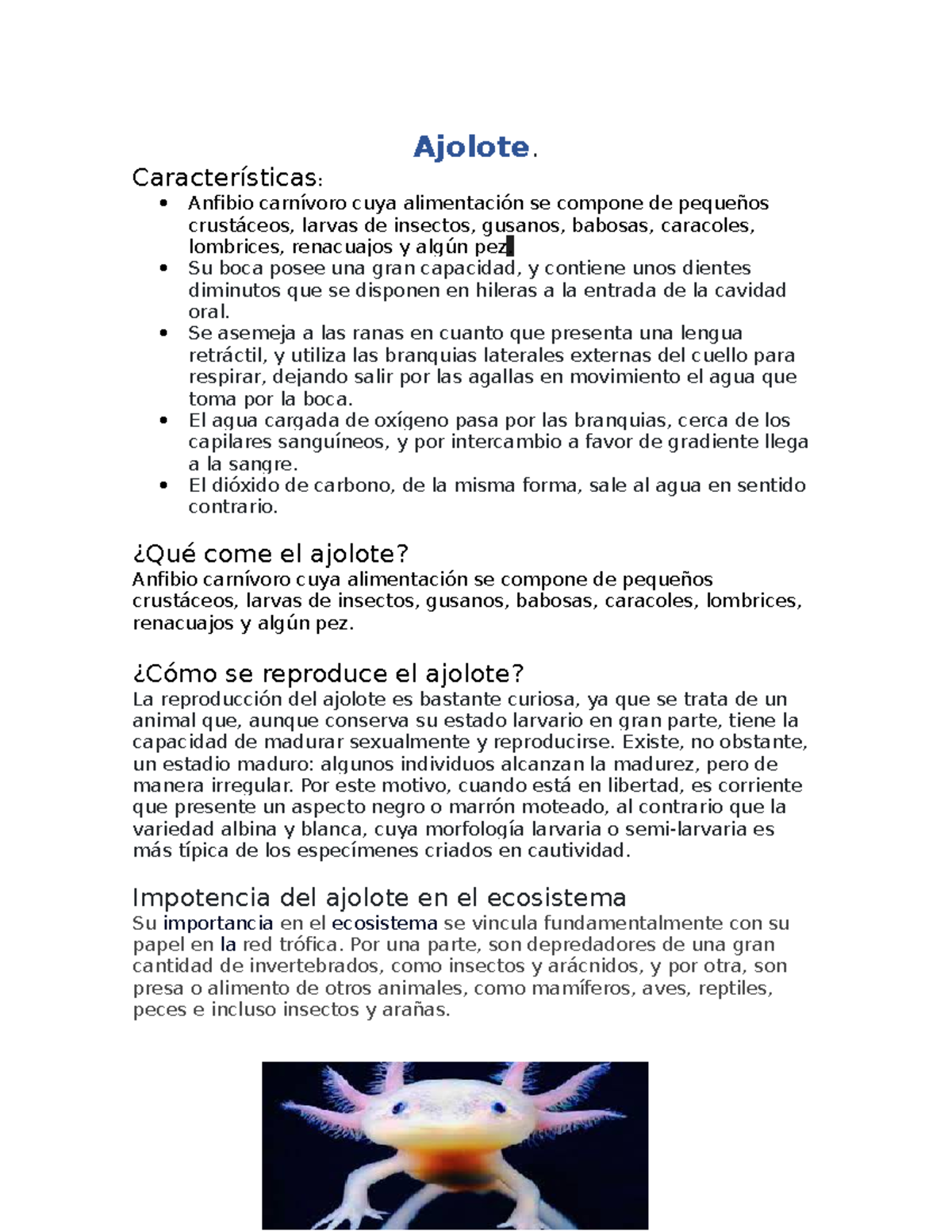 Ajolote - Descripción - Ajolote. Características: Anfibio carnívoro ...