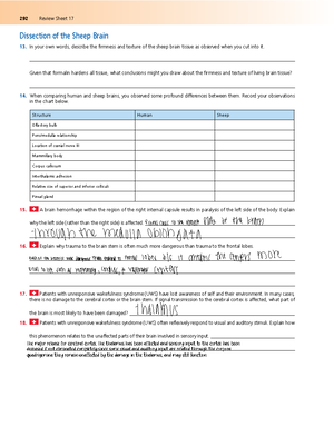 Week 4 Lab Work -pages-4 - 290 Review Sheet 17 Cerebrospinal Fluid 10. Label the structures ...