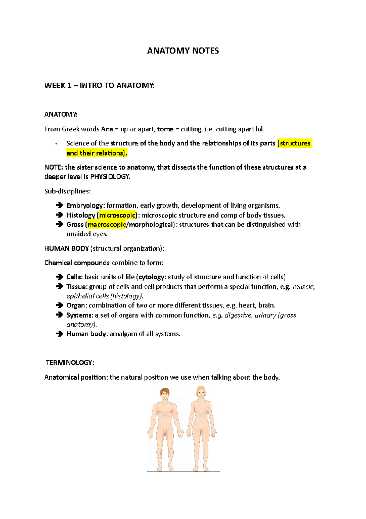 Anatomy Notes - Very detailed and thorough presentation of HLTH108 ...
