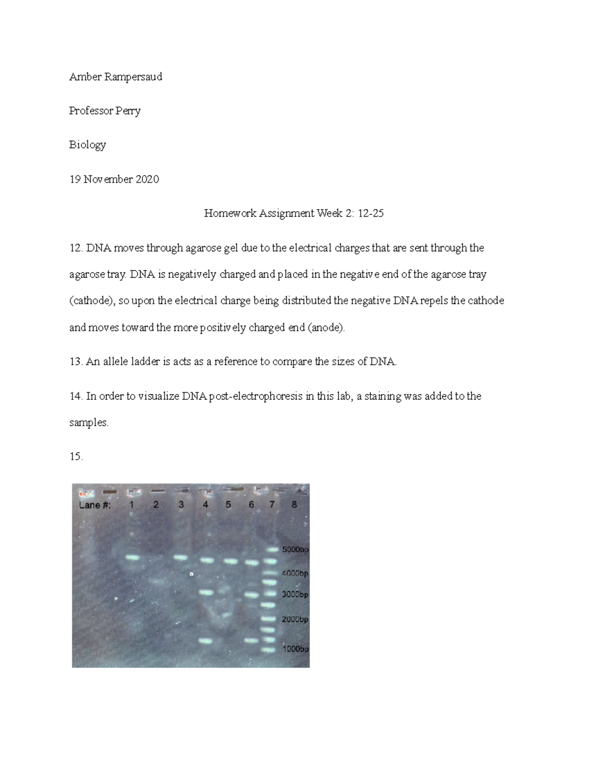 Post Lab Assignment 9 Part 2 - Amber Rampersaud Professor Perry Biology 19 November 2020 ...