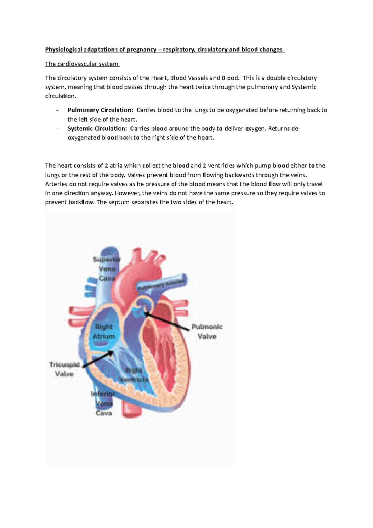 Physiological adaptations of pregnancy - cardiovascular system ...
