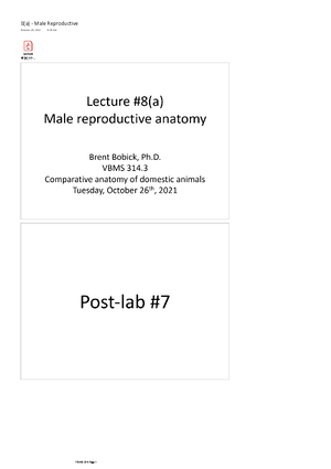 Lecture 10(b) - Pregnancy - Lecture #10(b) 11-... Conceptus signalling ...