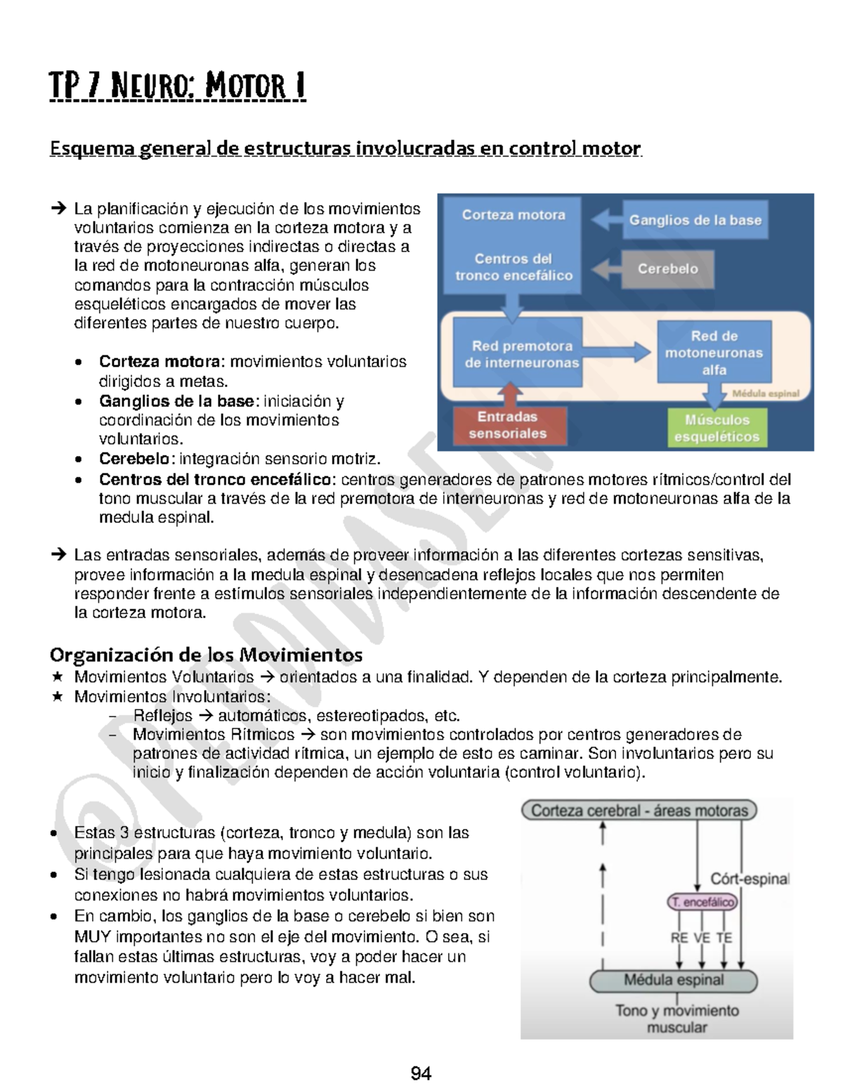 Apunte de Sistema Motor, Generalidades e introduccion - TP 7 Neuro: Motor I Esquema general de ...