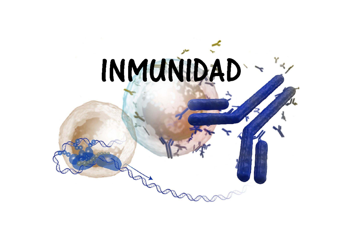 Inmunitario - INMUNIDAD La inmunidad es el conjunto de mecanismos que ...