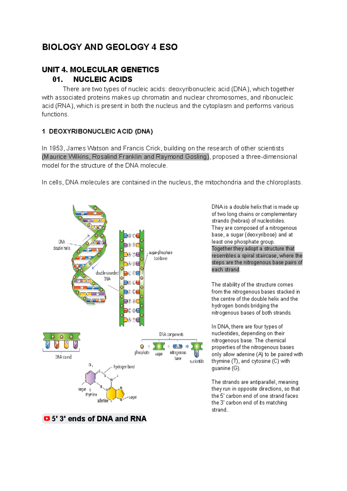 Unit 4. Biology - hola - BIOLOGY AND GEOLOGY 4 ESO UNIT 4. MOLECULAR ...