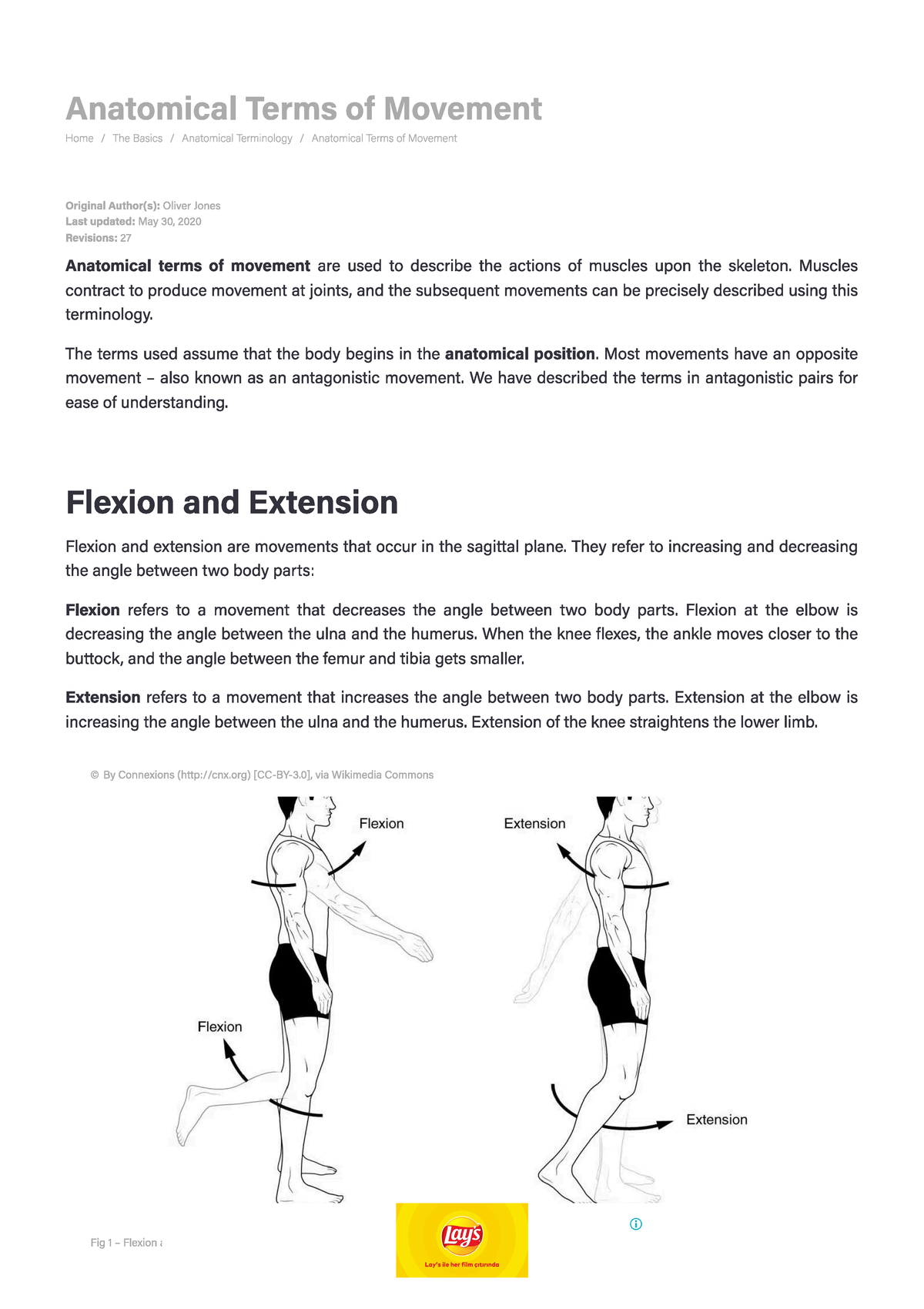 Anatomical Terms of Movement - Human Anatomy and Physiology - Studocu