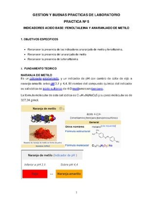 AISC360-05 Direct Analysis Method - Practical How-To Guide Page 1 of 12 ...